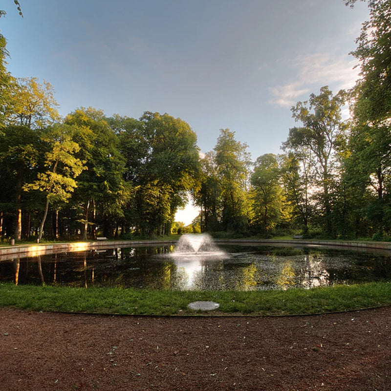 BioRemedy Acqua & Co Sprint 1.5 Floating Fountain