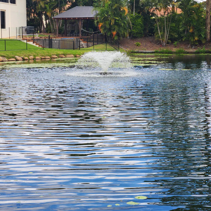 BioRemedy Acqua & Co Splash 2008 Fountain - Dural Irrigation