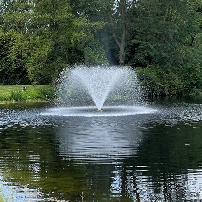BioRemedy Acqua & Co Sprint Allegro Floating Fountain