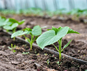 Buy Irrigation Supplies For Sale Online - Dural Irrigation - Sydney ...